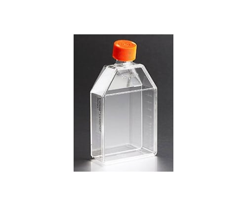 CellBIND(R)フラスコ 75cm2 カントネック ベントキャップ付 入数：1ケース（5個/パック×20パック）CellBIND(R)フラスコ 75cm2 カントネック ベントキャップ付 入数：1ケース（5個/パック×20パック）