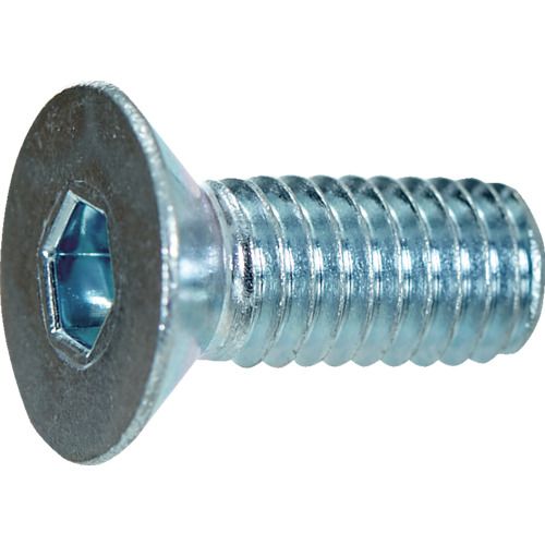 【特長】●六角レンチで締め付け可能なボルトです。頭部を出っ張らせたくないときに便利な形状です。●機械や電子部品に幅広く使用されます。【仕様】●寸法(mm)d：M8●寸法(mm)L：15●ねじピッチ(mm)：1.25●六角穴対辺寸法(mm)：...