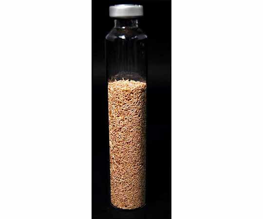 特徴 様々な元素分析メーカーに対応した還元銅です。仕様 重量：100g（ガラスバイアル1本入り） 線状 0.5×4mm 対応：No.650-00011,C1001006,SC0002特徴 様々な元素分析メーカーに対応した還元銅です。仕様 重...