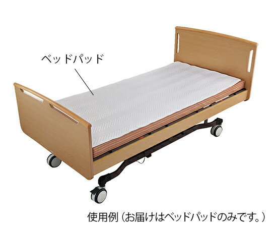 特徴 キルティング加工のベッドパッドです。 洗濯が可能ですので、取扱いが容易です。 乾燥機にも対応。 ホテル仕様のベッドパッドです。仕様 型番：BBP 幅×長さ(mm)：850×1910 材質：ポリエステル100% 洗濯方法：洗濯可/脱水可...