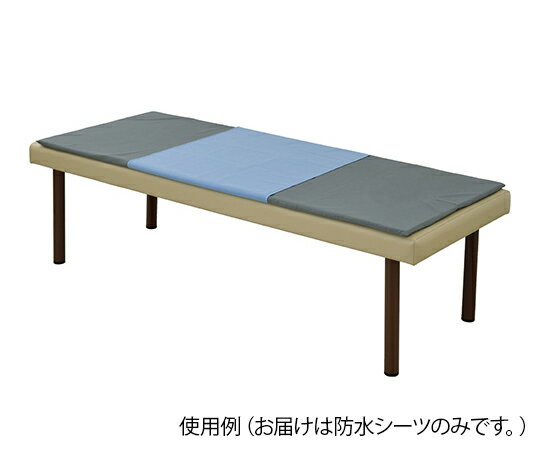 特徴 コンパクトなため敷く際にシワになりにくく、また嘔吐の可能性のある患者にも使いやすいサイズです。 耐久性にも優れています。 軽度の失禁を気にされる方に最適な700mmサイズの防水シーツです。仕様 幅×長さ（mm）：700×1500 材質...