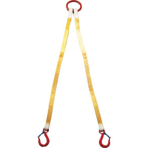 特長:●ベルトスリング使用で軽くて、柔らかく作業効率が向上します。●大内径のリング使用で、大きなフックにも対応でき玉掛け作業が楽になります。●2本吊りリング（ハイパーリング）、フック（Vフック）付ベルトスリングセットです。●吊り具（スリング...