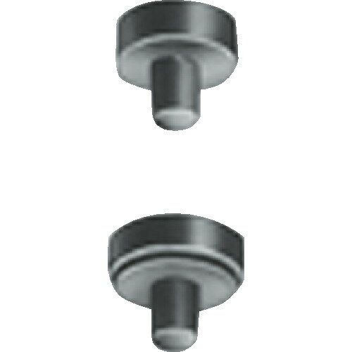 特長:●刻印可能の交換用スタンプです。●ご使用のスタンプが摩耗した際に交換できます。 用途:●ガス、水道、電気メーター、工場設備などの管理に。 仕様:●色：黒●外径(mm)：8●適合本体：9042000 仕様2:●適合本体：9042000 ...