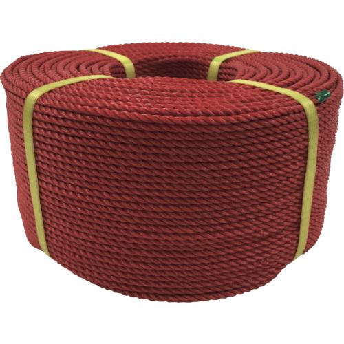 特長:●軽量で水に強く、強力でショックにも強いロープです。●受注生産品の為、返品不可です。 用途:●ネット、農園芸、インテリアなど。 仕様:●色：赤●線径(mm)：4●長さ(m)：200●ロープの打ち方：3つ打●包装形態：コイル巻 材質／仕...
