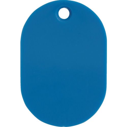 特長:●カラーが豊富で管理などに便利です。●ラベルを貼って使用したり、マーカー等での記入も可能です。 仕様:●色：ブルー●縦(mm)：45●横(mm)：30●厚さ(mm)：2.5●穴径(mm)：3 仕様2:●キーホルダーや二重リングを取り付...