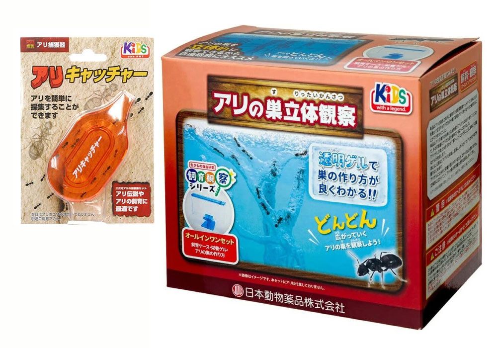 【NEW3Dアリの巣】 ＊ジェル使用のアリ飼育セット　 本品はアリの巣を立体的に観察できる「アリの巣観察セット」です。アリは地面に巣穴を掘って集団で生活しますので、その生活の様子を観察したり、巣穴をどのように掘っているのかを調べる事はなかな...
