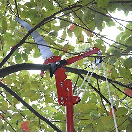 高枝切バサミ(鋏のみ) 商　品　説　明 ★棒を用意するだけで高枝切り 剪定や果実の採取など用途に合わせて行える ・女性にもラクに扱える超軽量！ ・安定感抜群で高い場所もしっかり捉える!! 商　品　仕　様 商品サイズ 42×20×2.5cm ...