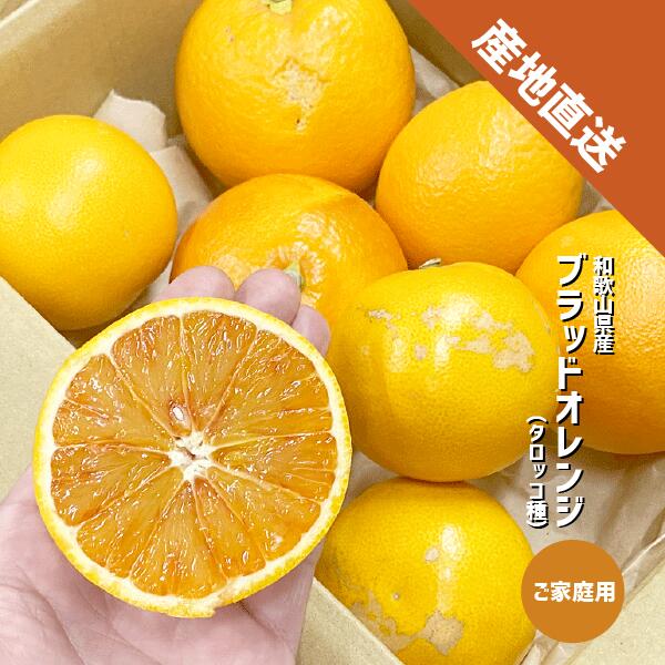 ブラッドオレンジ タロッコ種 約1kg〜5kg 和歌山県産 ご家庭用 モロ種 貴重な国産！ 和歌山県産のブラッドオレンジ「タロッコ種」をお届けします！ブラッドオレンジの果肉の赤は柑橘では珍しいアントシアニンという成分によるもの。まだ生産量の...