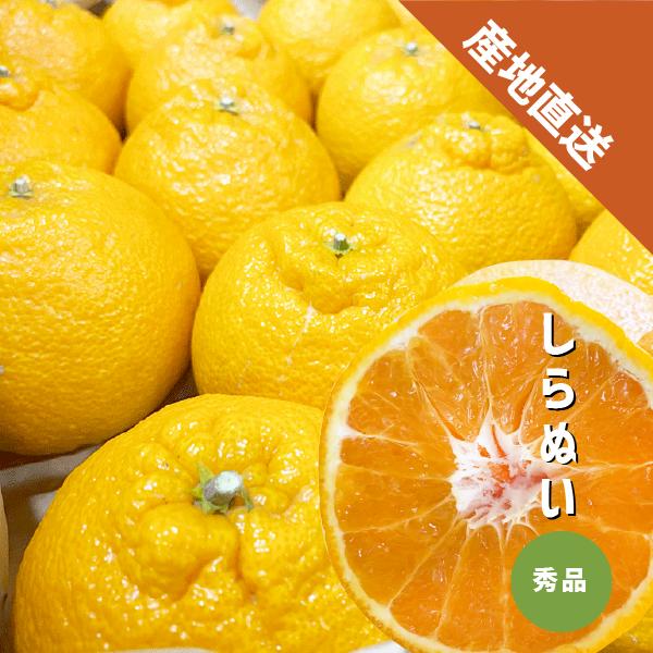 商品情報名称しらぬい産地名和歌山県内容量1kgあたり約3〜6玉保存方法風通しのよい日陰で保存ください。しらぬい 秀品 約1kg〜約10kg ギフト 贈答用 シラヌイ 不知火 柑橘の王様！ 和歌山県産のしらぬいの入荷が始まりました！清見オレン...