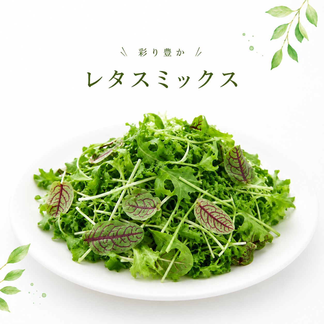 商品詳細 名称 レタスミックス 産地 愛知県産 内容量 500g 保存方法 冷蔵（野菜室5℃前後） 製造者 株式会社SKH　愛知県常滑市大曽町2－15－1 商品説明 清潔な施設内にて農薬不使用で栽培しており、洗わずにそのままお使いいただけま...
