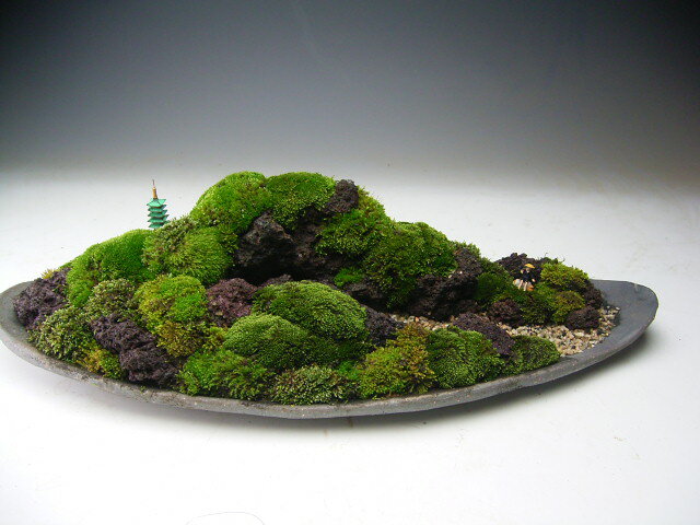 ＊お届けする時期により商品の状態は異なります。 ●商品に含まれる物 苔、石 ＊写真に写っておりますアンチモ人形（船頭）は この商品には含まれておりません。 鉢(日本製　楕円鉢） ●サイズ 約H10cm×W40cm×D15cm ＊サイズ、石の...