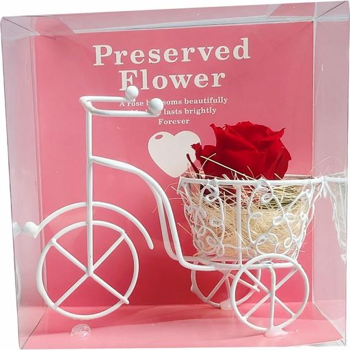 【ご購入前の重要な確認事項】いつもご利用いただき、誠にありがとうございます。いつも【vicsystore楽天市場店】をご利用いただき、誠にありがとうございます。 最近、商品の入数・数量・サイズなどのご注文内容に関する間違いが増えております。...