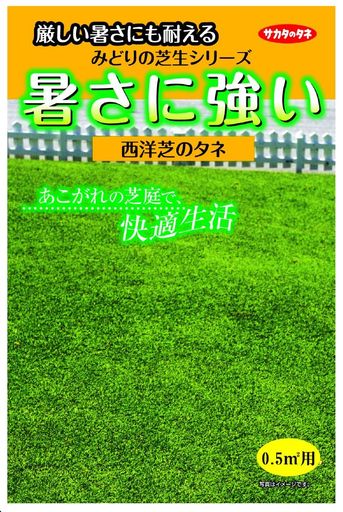 【ご購入前の重要な確認事項】 いつもご利用いただき、誠にありがとうございます。 いつも【vicsystore楽天市場店】をご利用いただき、誠にありがとうございます。 最近、商品の入数・数量・サイズなどのご注文内容に関する間違いが増えておりま...
