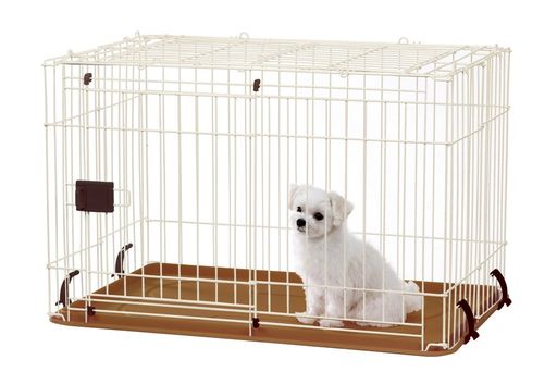 【ご購入前の重要な確認事項】 いつもご利用いただき、誠にありがとうございます。 いつも【vicsystore楽天市場店】をご利用いただき、誠にありがとうございます。 最近、商品の入数・数量・サイズなどのご注文内容に関する間違いが増えておりま...