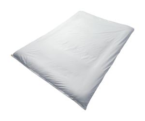 124995296213394000000 ・広告文責（株式会社ビッグフィールド ・072-997-4317）カテゴリー1：寝具カテゴリー2：寝具カバー・シーツ＞敷きふとんカバーJAN：4995296213394もし希望購入数が買物かごに入...