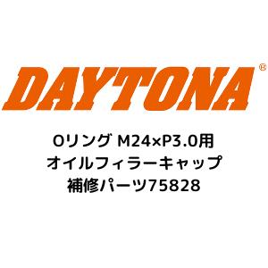 12490944940555000 ・広告文責（株式会社ビッグフィールド ・072-997-4317）カテゴリー1：オイル・バッテリーカテゴリー2：車・バイク用エンジンオイル・フィルター＞バイク用オイルフィルターJAN：4909449405...