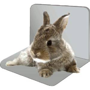 124977007036393000000000000 ・広告文責（株式会社ビッグフィールド ・072-997-4317）カテゴリー1：小動物カテゴリー2：小動物用品＞飼育ケージ・アクセサリJAN：4977007036393本体サイズ (幅...