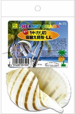 124976285057205000000 ・広告文責（株式会社ビッグフィールド ・072-997-4317）カテゴリー1：熱帯魚・観賞魚カテゴリー2：熱帯魚・観賞魚用品＞ヘルスケアJAN：4976285057205もし希望購入数が買物かご...