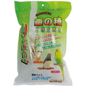 12493280430660600000000000 ・広告文責（株式会社ビッグフィールド ・072-997-4317）カテゴリー1：鳥カテゴリー2：鳥用品＞餌・おやつJAN：4932804306605エクセル 粟の穂 500g 鳥用×30...