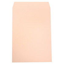 124546940613796 ・広告文責（株式会社ビッグフィールド ・072-997-4317）カテゴリー1：封筒・はがき・レターカテゴリー2：封筒＞ビジネス封筒JAN：4546940613796. ： ノート・ふせん・紙製品 封筒 カラ...
