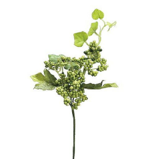 .1000001 ・広告文責（株式会社ビッグフィールド ・072-997-4317）もし希望購入数が買物かごに入らない場合は、一度、お問合せいただければ幸いでございます。