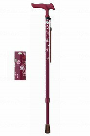 商品名 &nbsp;かるがもファム3 伸縮/小花ワイン/- フジホーム WB5130【直送品】　送料込！ &nbsp;商品説明 初代かるがもファムより、握りやすく手にフィットするよう形状を変更。グリップとパイプをつなぐ『首元』の部分を長くし...