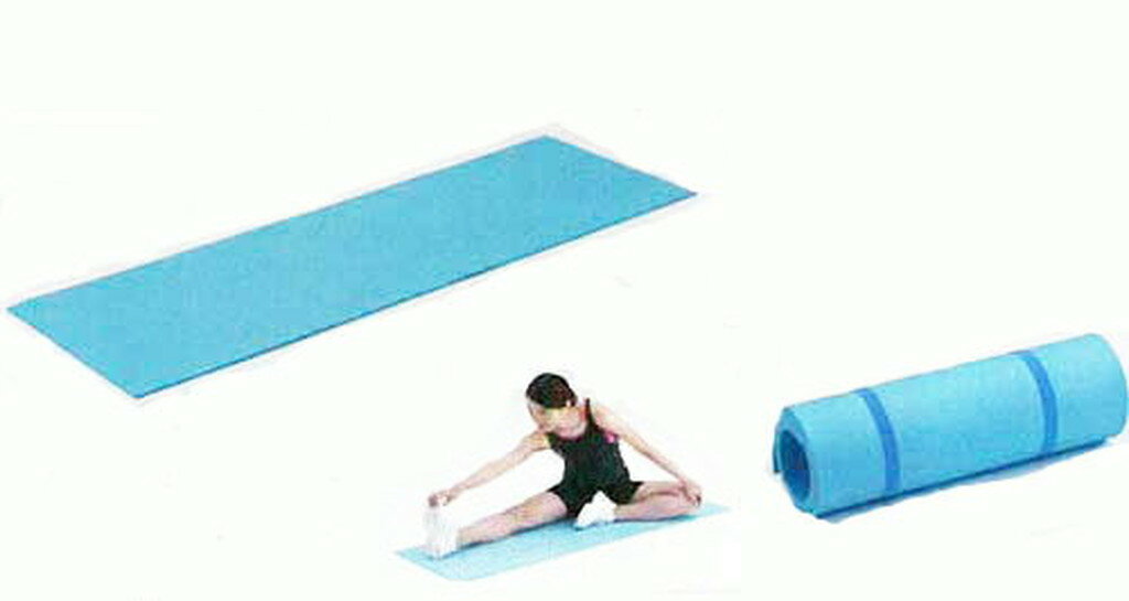 商品名 &nbsp;Danno ダンノ スポーツ・アウトドア エクササイズマットHDX1500　1枚 d5583 学校用具 体育器具 用品 運動会 部活動　クラブ活動 &nbsp;商品説明 ●サイズ／厚み0.7×巾50×長さ150、収納時：...