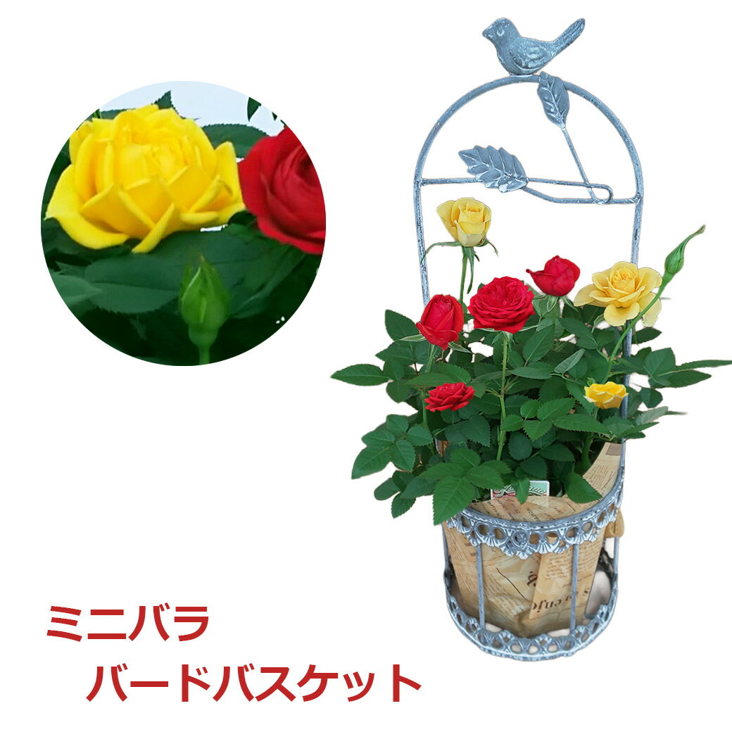 ※ご注文状況、入荷状況により当店・メーカーともに在庫がない場合がございます。その際には記載されております納期よりお時間をいただく場合がございます。 ※沖縄・離島・一部地域へのお届けは別途送料がかかります。 ※ご注文確定後、注文内容や納期につ...