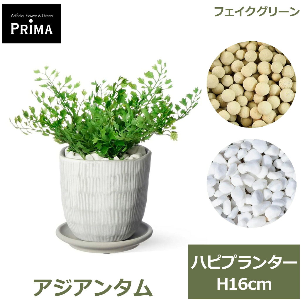 ＼＼店内全品対象！エントリーでポイント5倍！（通常ポイント+4倍）／／ ※メーカー直送品のため、返品・交換はメーカーの判断に準拠いたします。関連商品【エントリーでポイント5倍】フェイクグリーン 観葉植物 人工観葉植物 ...【エントリーでポ...