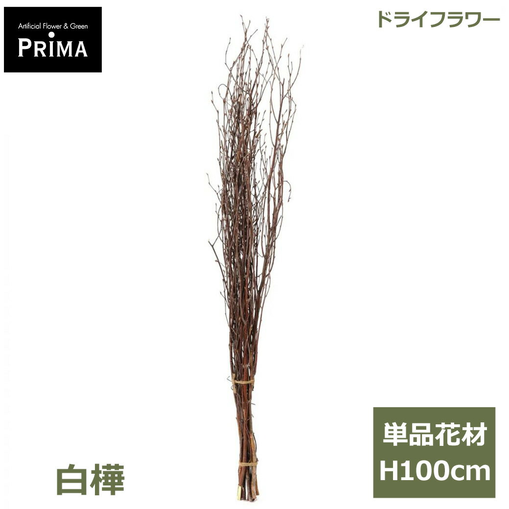 ※メーカー直送品のため、返品・交換はメーカーの判断に準拠いたします。関連商品ドライフラワー 単品 花材 観葉植物 三又 枝 切り枝 天然素材 本物...フェイクグリーン 観葉植物 人工観葉植物 サンキライ サルトリイバラ ...フェイクグリ...