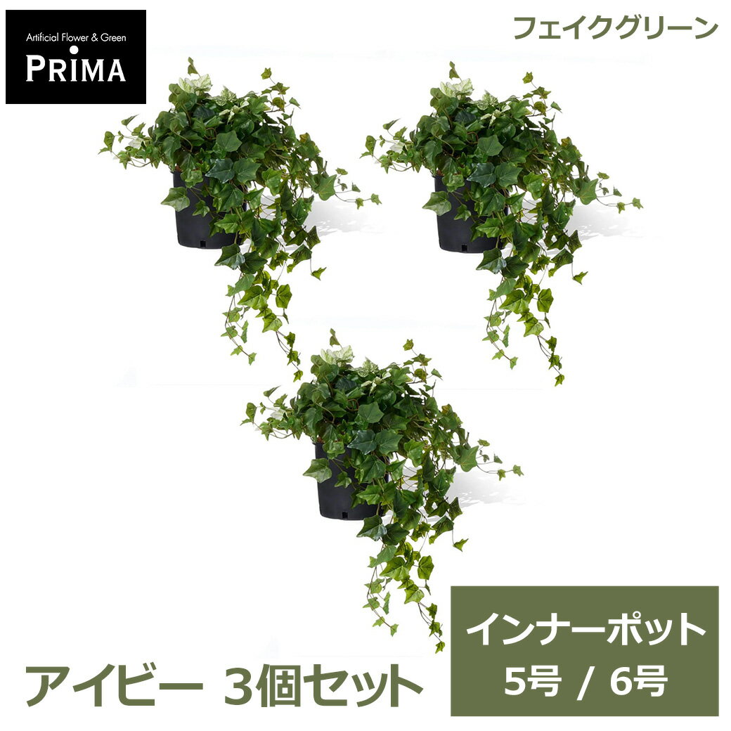 ※メーカー直送品のため、返品・交換はメーカーの判断に準拠いたします。関連商品フェイクグリーン 観葉植物 人工観葉植物 ポトス インナーポット 3個...フェイクグリーン 観葉植物 人工観葉植物 カラジウム インナーポット ...フェイクグリ...