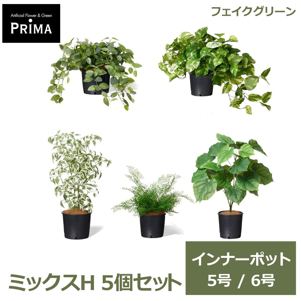 ※メーカー直送品のため、返品・交換はメーカーの判断に準拠いたします。関連商品フェイクグリーン 観葉植物 人工観葉植物 フィットニア ポトス アジア...フェイクグリーン 観葉植物 人工観葉植物 アイビー カラジウム アジア...フェイクグリ...