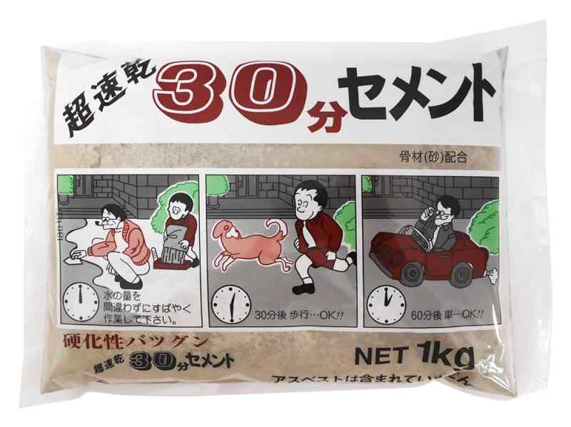 家庭化学 超速乾30分セメント