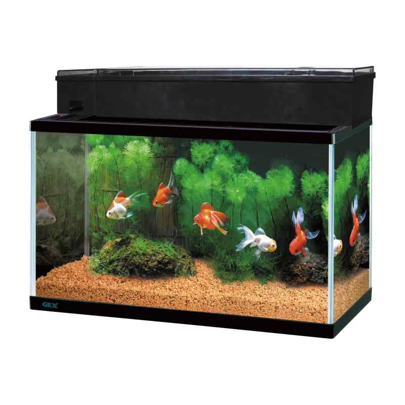 ジェックス GEX AQUARIUM ガラス マリーナ600BKS デュアルクリーンセット サカナ用本体サイズ (幅X奥行X高さ) :60×27.5×36cm本体重量:7.2kg原産国:インドネシア形:長方形
