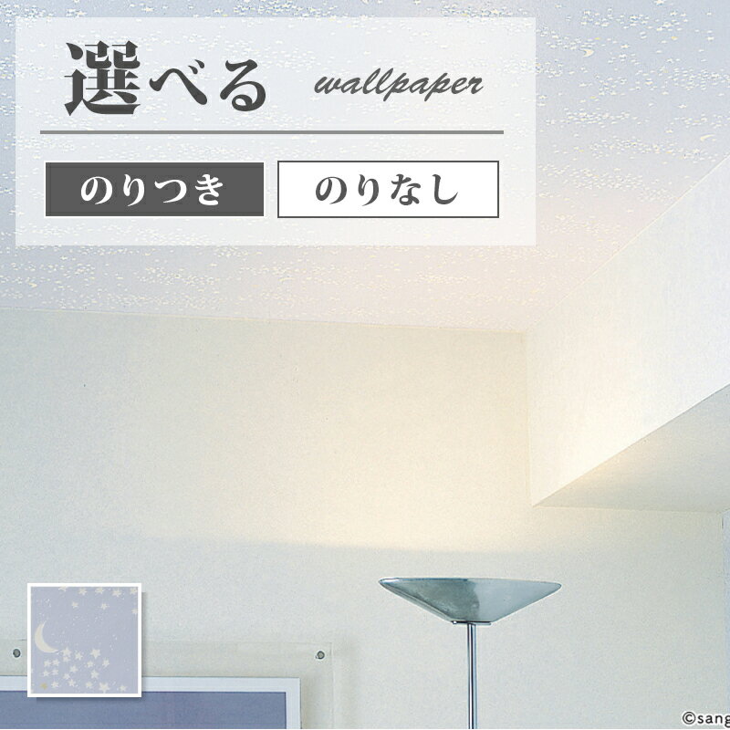 DIY 掃除 張り替え オシャレ オシャレ部屋 海外 韓国 シンプル かっこいい かわいい 張り替え方 自分でDIY 補修 業者 のり ウィリアムモリス エモい キッチン キレイ 犬 ネコ 猫 ペット 子供部屋 洗面所 賃貸 トイレ 内装 ...