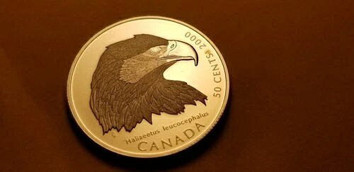 Canada 2000 50 Cent Gem Proof Silver Coin Bald Eagle Bird Idrs1商品について額面：50セント流通/非流通：非流通材質：銀製造国/地域：カナダ認証：未認証注意事項以下の注意事項をご...