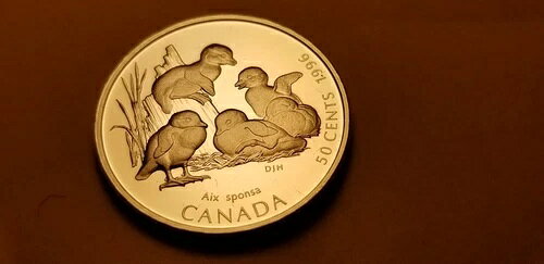 Canada 1996 50 Cent Gem Proof Silver Coin Little Wild Ones Wood Ducks Bird Idrs1商品について額面：50セント流通/非流通：非流通材質：銀製造国/地域：カナダ認証...