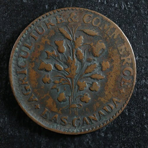 LC-41A1 Bouquet Sou token Montreal Lower Bas Canada Quebec Breton 684商品について注意事項以下の注意事項をご理解のうえ、ご購入ください。◆ 鑑定グレード・真贋について当店で...
