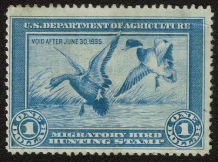 MALACK RW1 F/VF, OG, LH, nice duck n7852商品について認証：未認証グレード：説明参照原産地：アメリカ合衆国品質：説明参照注意事項※以下の注意事項をご理解のうえ、ご購入ください※■ 商品について本商品は海...