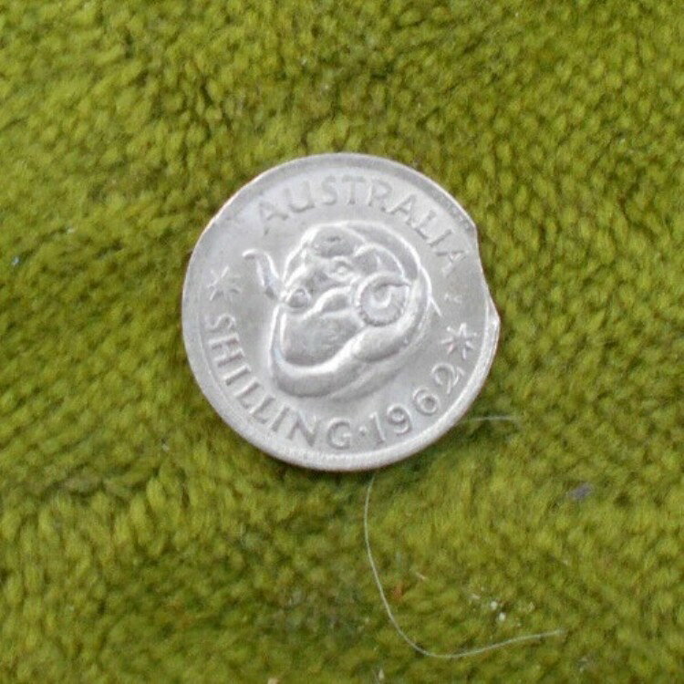 #D331. 1962 BITTEN EDGE ERROR AUSTRALIAN SILVER SHILLING COIN商品について注意事項※以下の注意事項をご理解のうえ、ご購入ください■ 鑑定済みコイン・紙幣について各種コイン・紙幣の鑑...