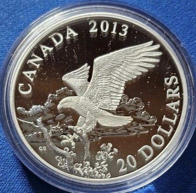 2013 Canadian Bald Eagle Returning from the Hunt OGP 31.39 gram Fine Silver Coin商品について組成：銀純度：0.9999刻印の種類：プルーフグレード：未鑑定1枚あ...