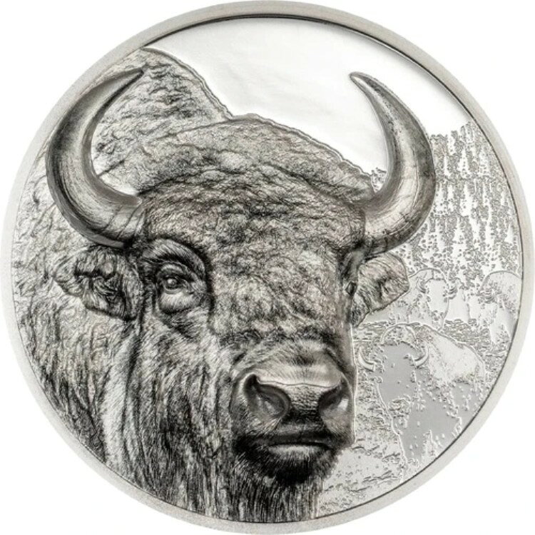 Wild Mongolia Bison 2025 2000 Togrog 3 oz Silver Coin Coin Investment Trust商品について販売者コメント「造幣局から直接発送」組成：銀発行年：2025年純度：0.999...