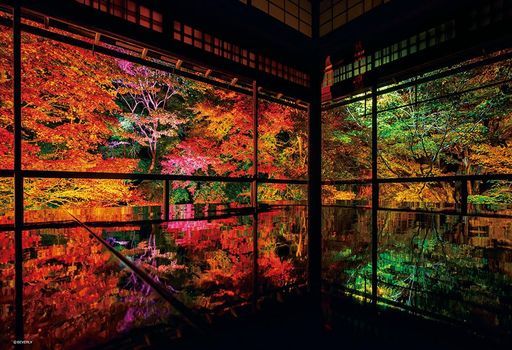 美しい紅葉をジグソーパズルで堪能 鮮やかな色が映り込む机もみじが鮮烈で感動的な京都 瑠璃光院