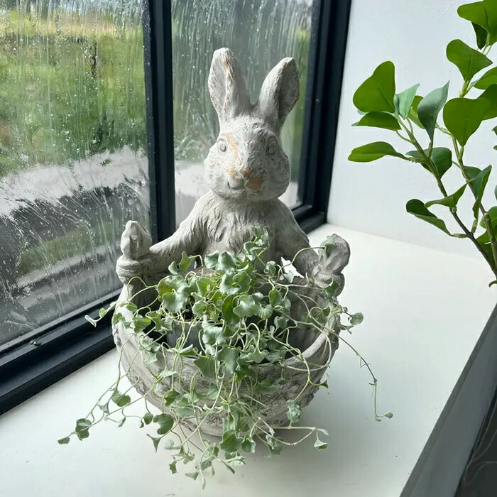 サイズ幅19×奥行15×高さ24.5cm 口径：幅16.5×奥行9.5cm　深さ：10cm素材セメント備考穴あり愛らしいウサギのガーデンポット玄関や庭先にディスプレイして和やかな雰囲気にかわいらしい花柄の布を広げて、大切に草花を持っているよ...