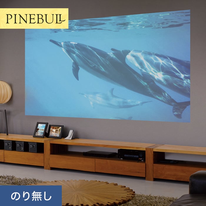 ＞のりなし壁紙のよくある質問はこちら ●サイズ違い 生のり付き壁紙 【キーワード】 壁紙 サンプル DIY RESTA リスタ のりなし のり無し 糊無し クロス おしゃれ オシャレ DIY TOKIWA パインブル リフォーム 防カビ 防...