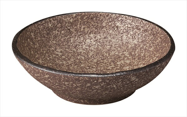 径16.5×H5.2cm 磁器