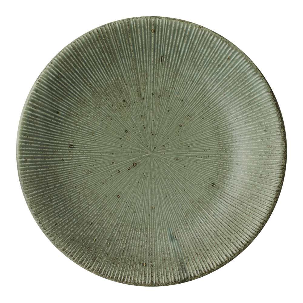 φ30.5×4.3cm 磁器