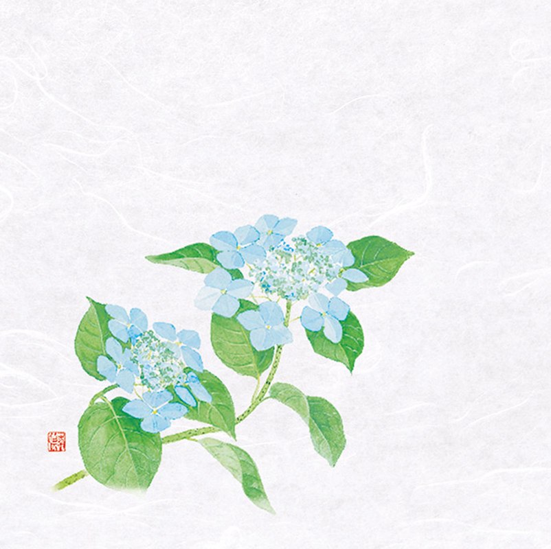 12x12cm