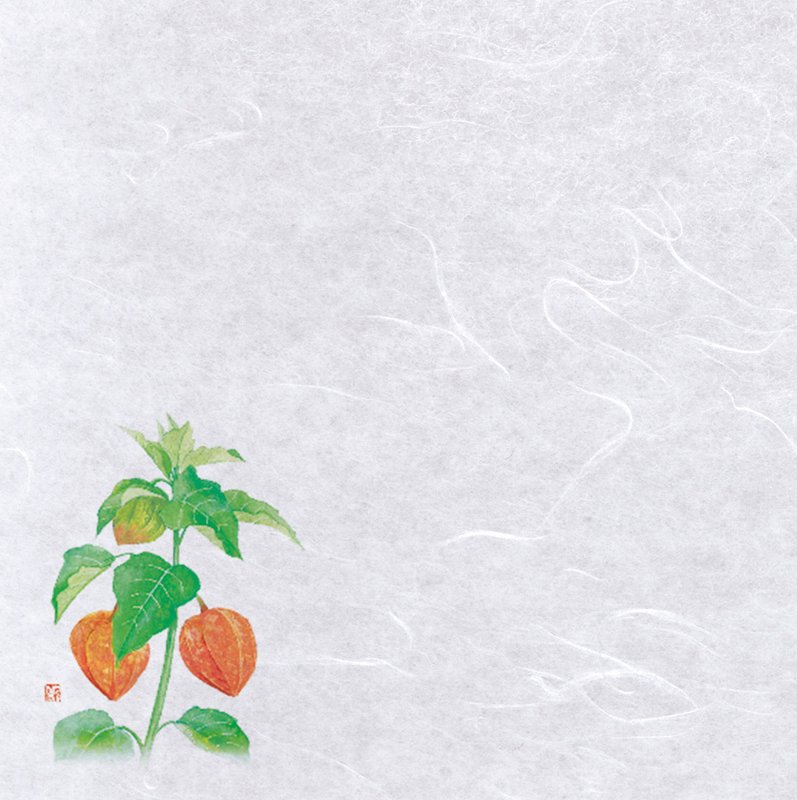 20x20cm