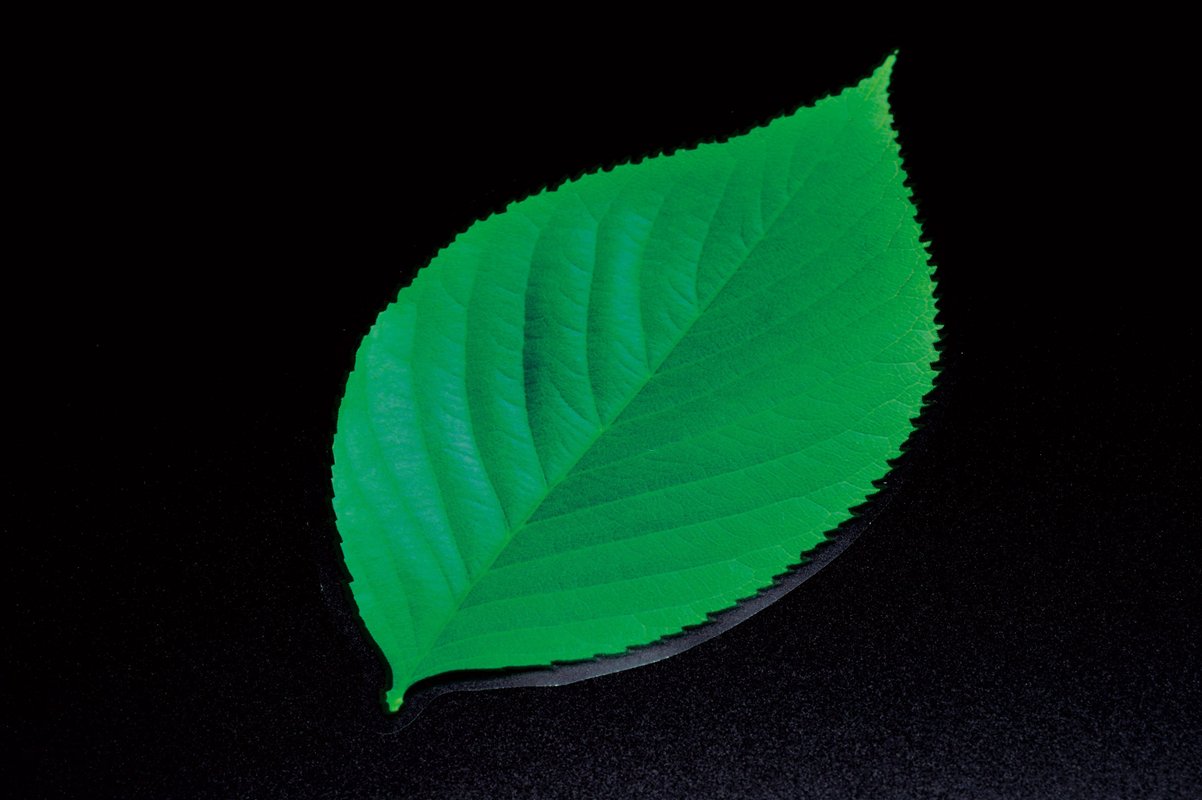 5.8x10cm
